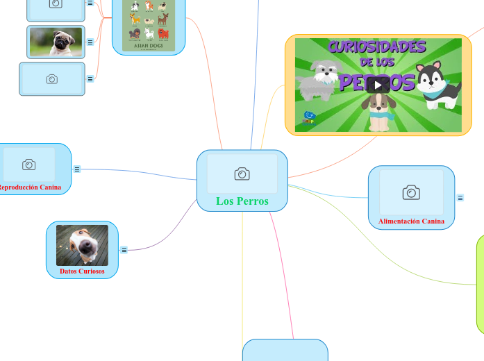 Los Perros - Mind Map